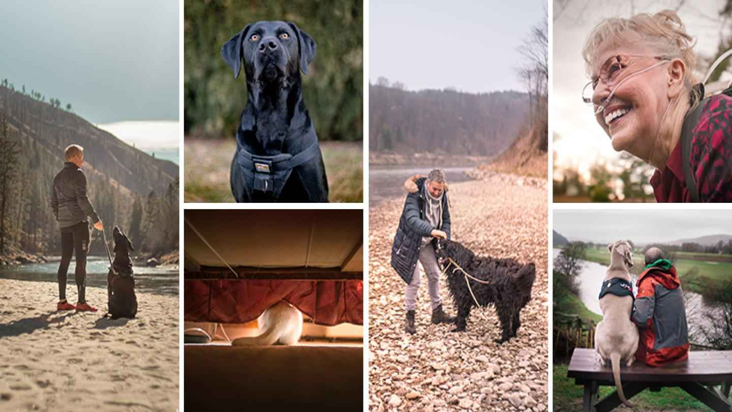 Partnering | Boehringer Ingelheim UK